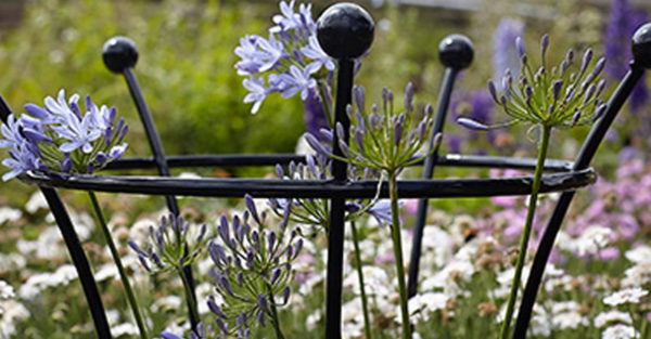 Handcrafted Plant Supports – Tom Chambers